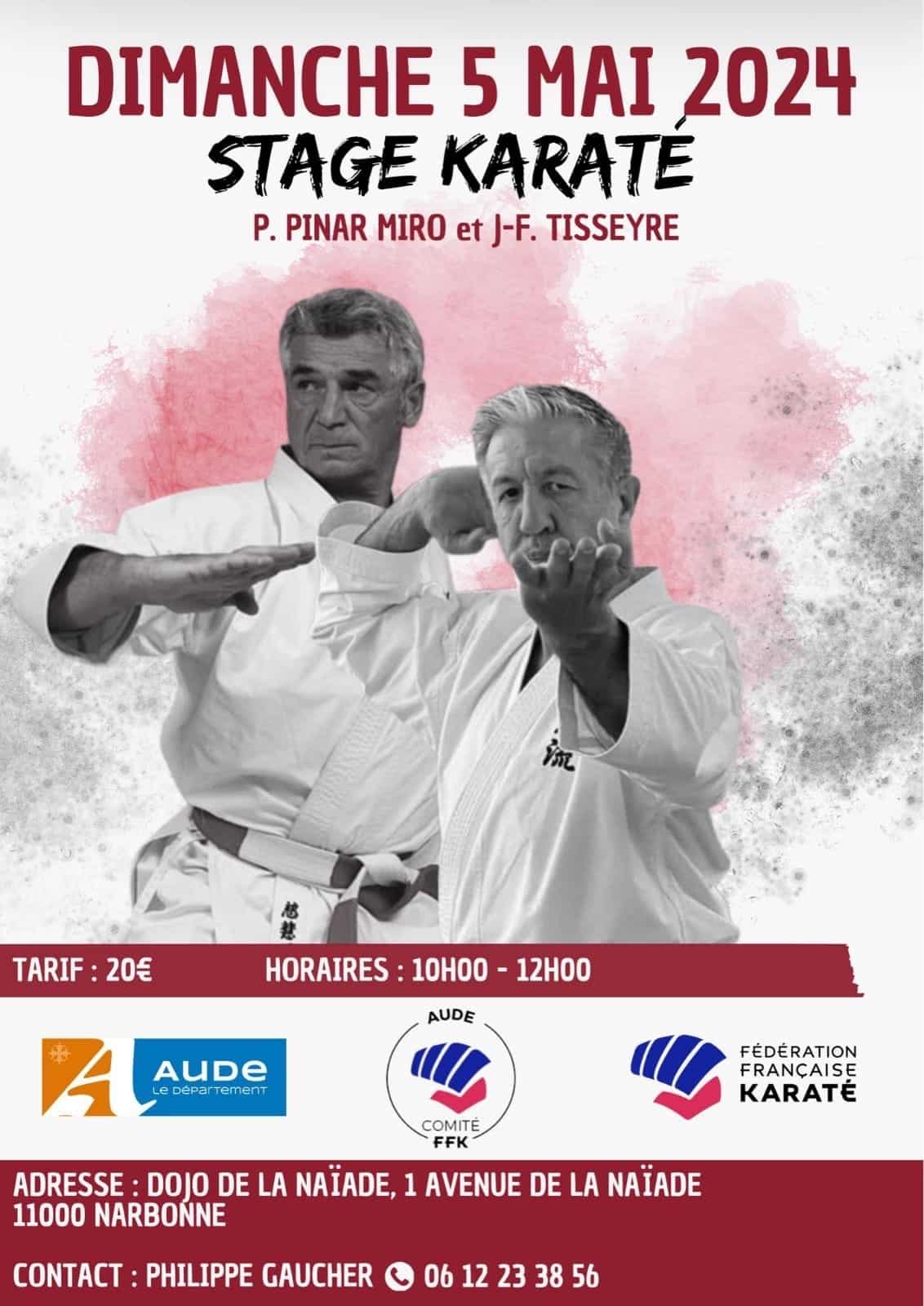 STAGE DE KARATÉ AVEC Mr P PINAR MIRO & J-F TISSEYRE - Comité ...