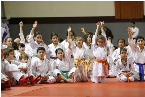 KARATE ENFANT - Zone Interdépartementale de Bourgogne de Karaté et ...