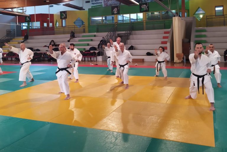 1er stage Kata/Bunkaï de la saison - Ligue Régionale Centre-Val de ...