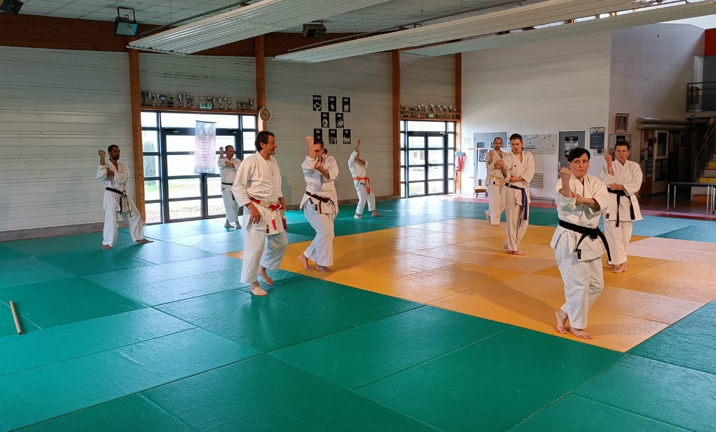 Plus de 30 personnes au stage Kata Bunkaï - Ligue Régionale Centre-Val ...