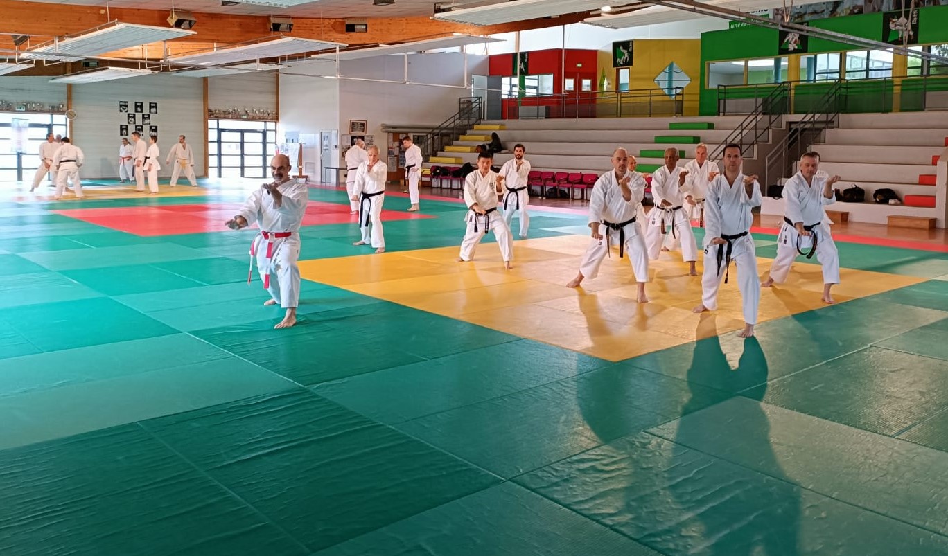 Plus de 30 personnes au stage Kata Bunkaï - Ligue Régionale Centre-Val ...