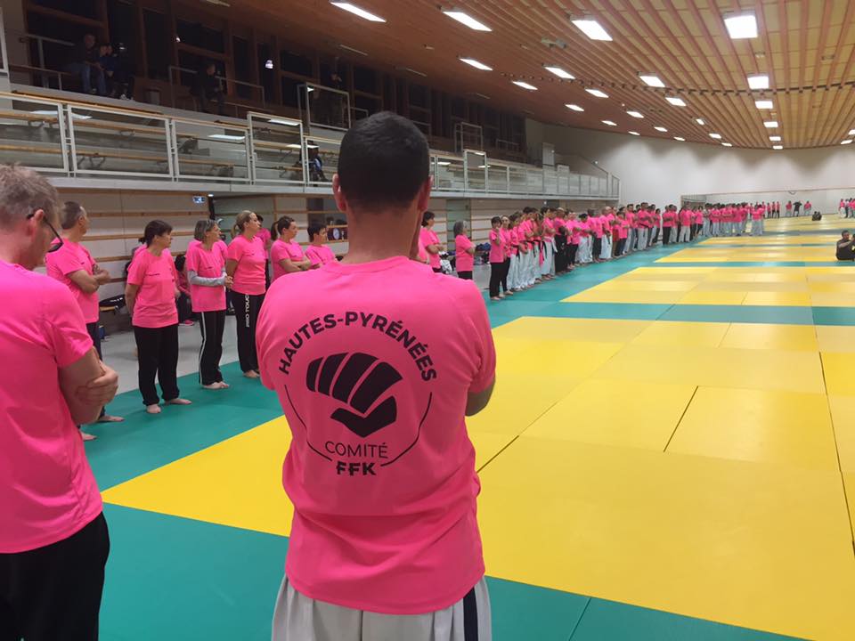 OCTOBRE ROSE (19h-21) - Comité Départemental des Hautes-Pyrénées de ...