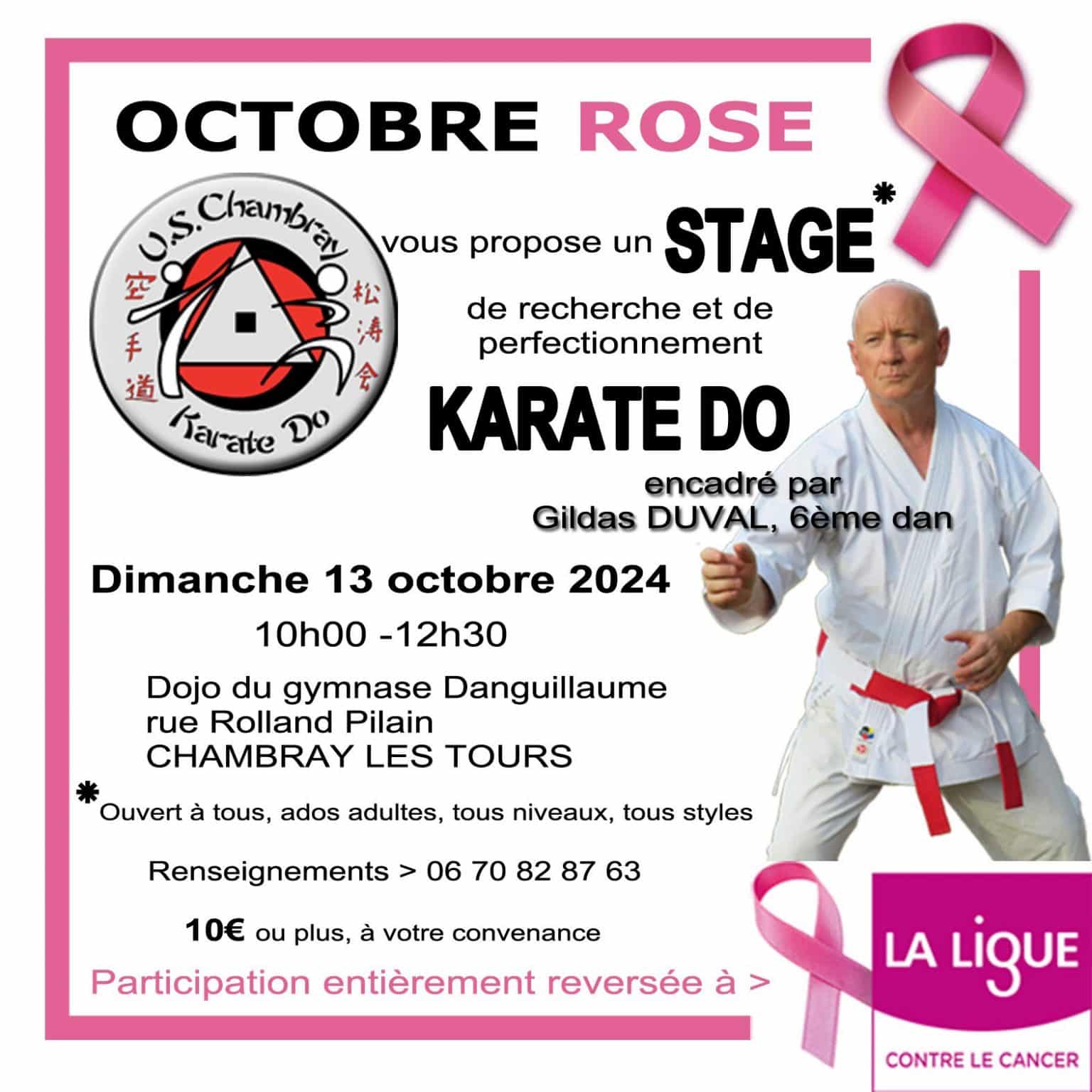 Stage Karaté-Do Octobre Rose - Comité Départemental d'Indre et Loire de ...