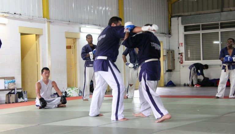 Yoseikan Budo : Stage avec Mitchi Mochizuki le 30 mars à St Paul - Ligue Réunion de Karaté et ...