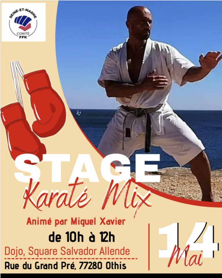 Stage Karaté Mix animé par Miguel XAVIER - Comité Départemental de ...