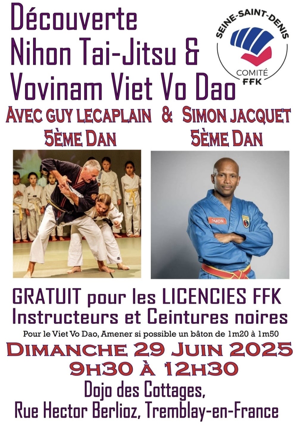 STAGE DÉPARTEMENTAL NIHON TAI-JITSU & VOVINAM VIET VO DAO - GUY ...